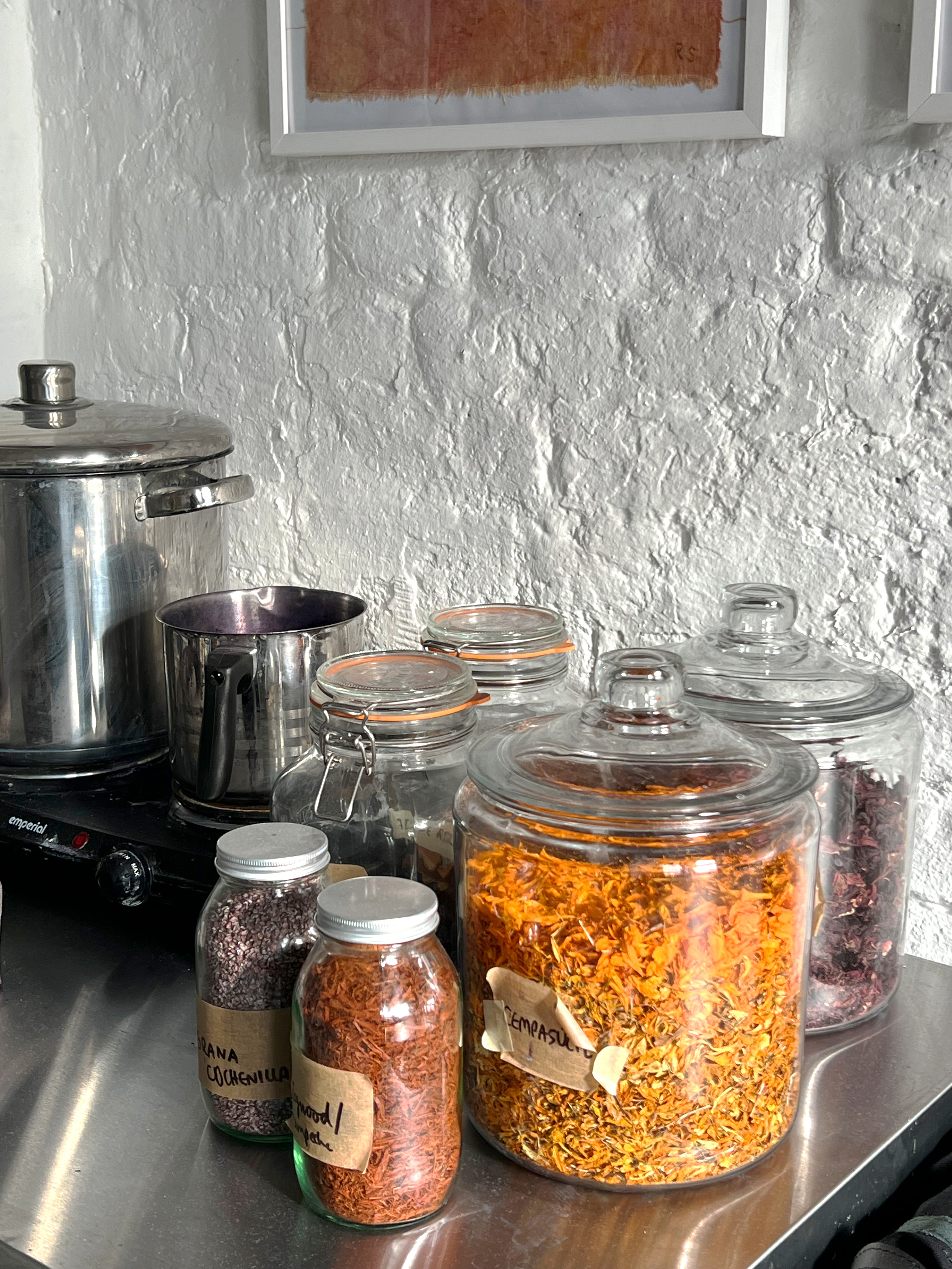 Introducing Roberta Schreyer | Thames-Side Studios